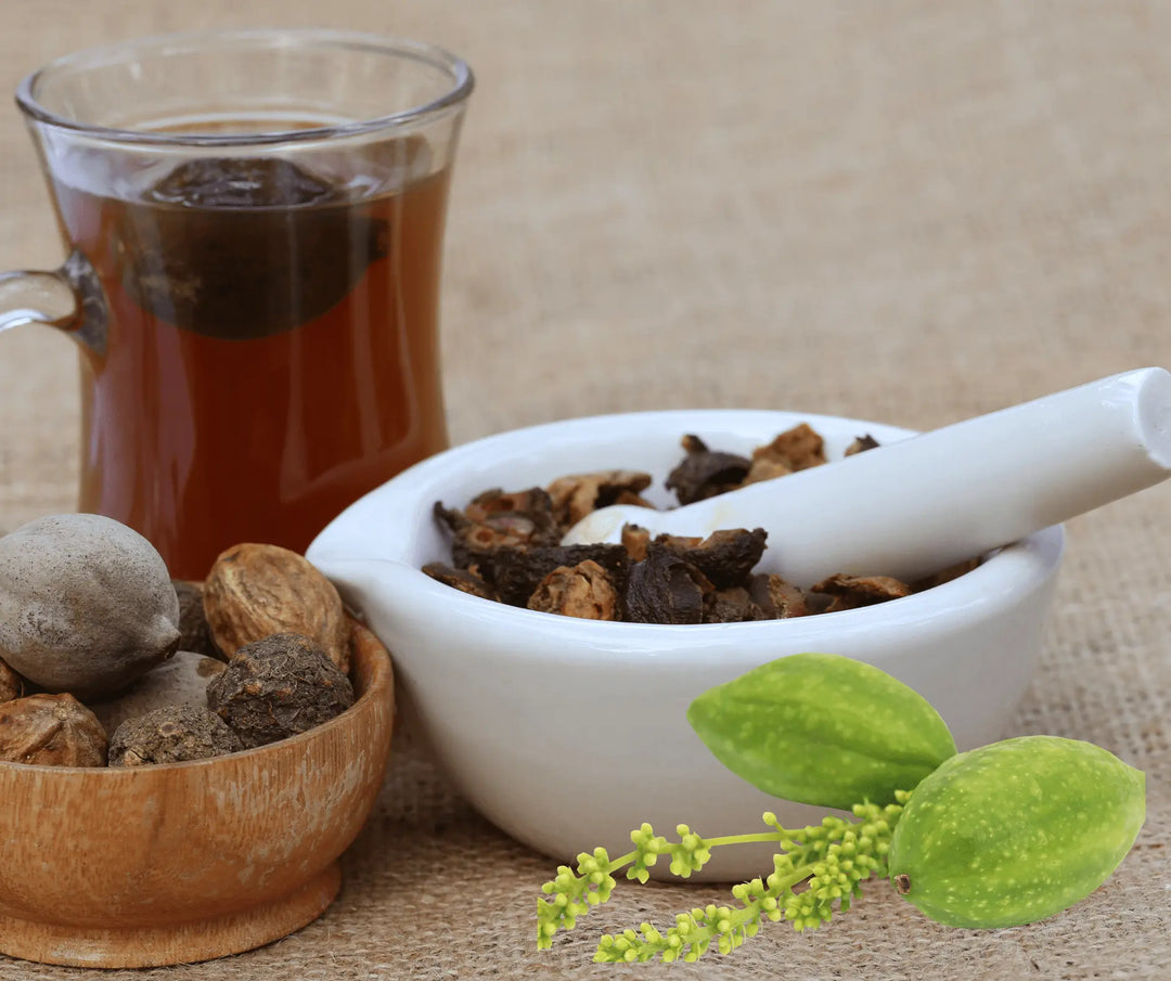 Why shall we take Haritaki daily? - Nature's Basket - NZ